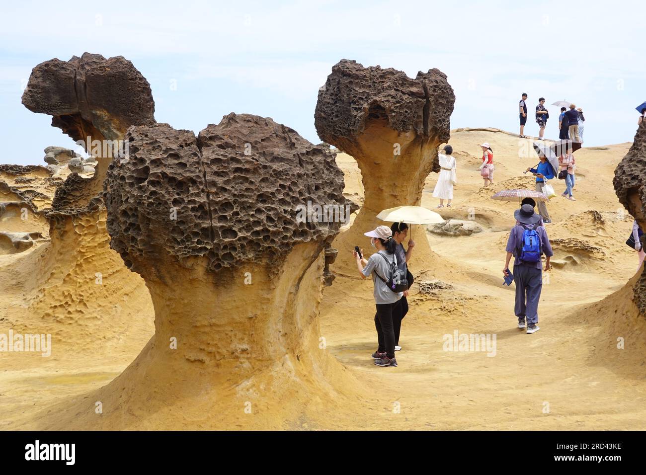 Yehliu Gepark rocks weathered by the sea, the weather, and earth ...