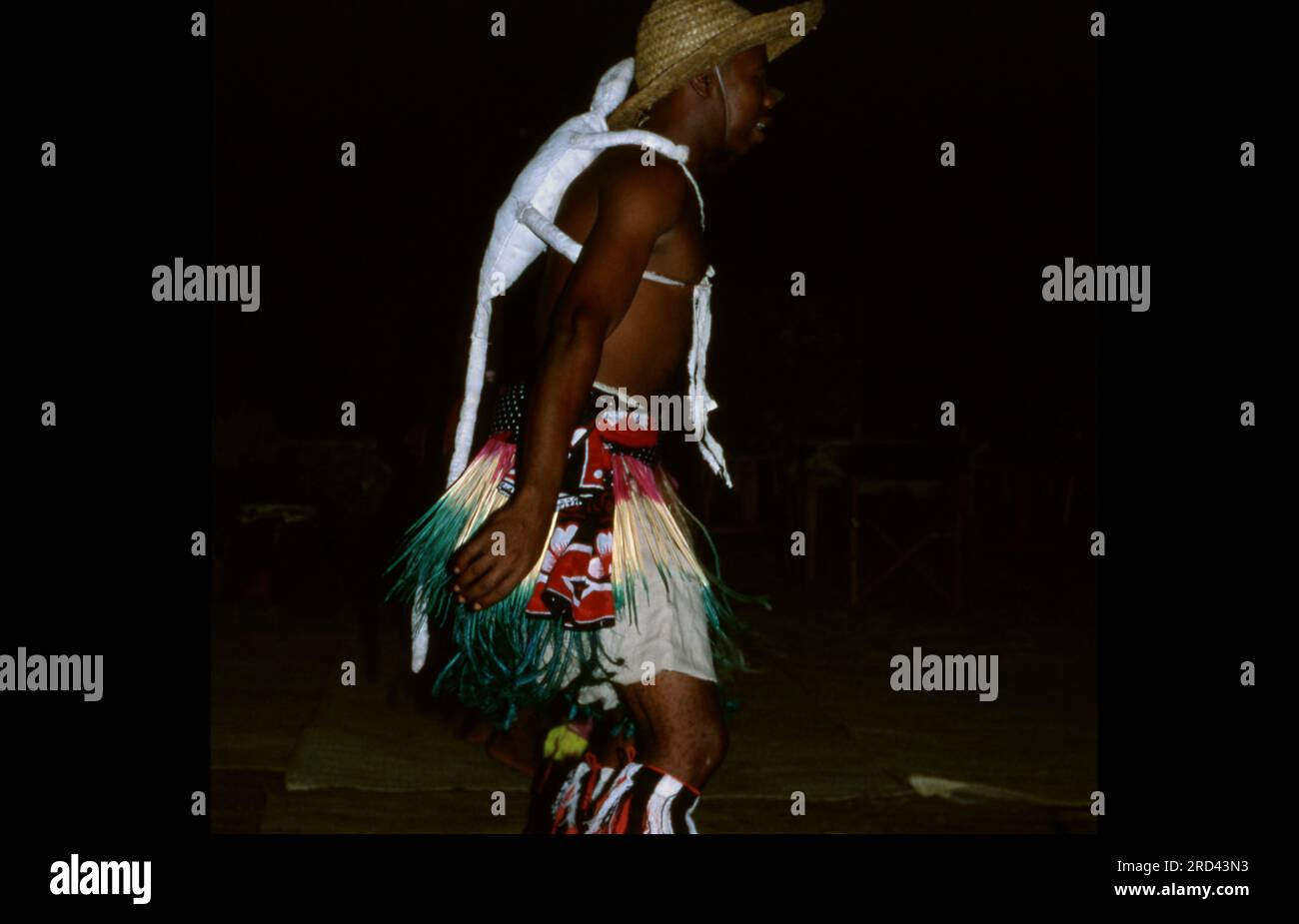 Tanzania and Zanzibar in 1998. Lifestyle, culture and wildlife ...