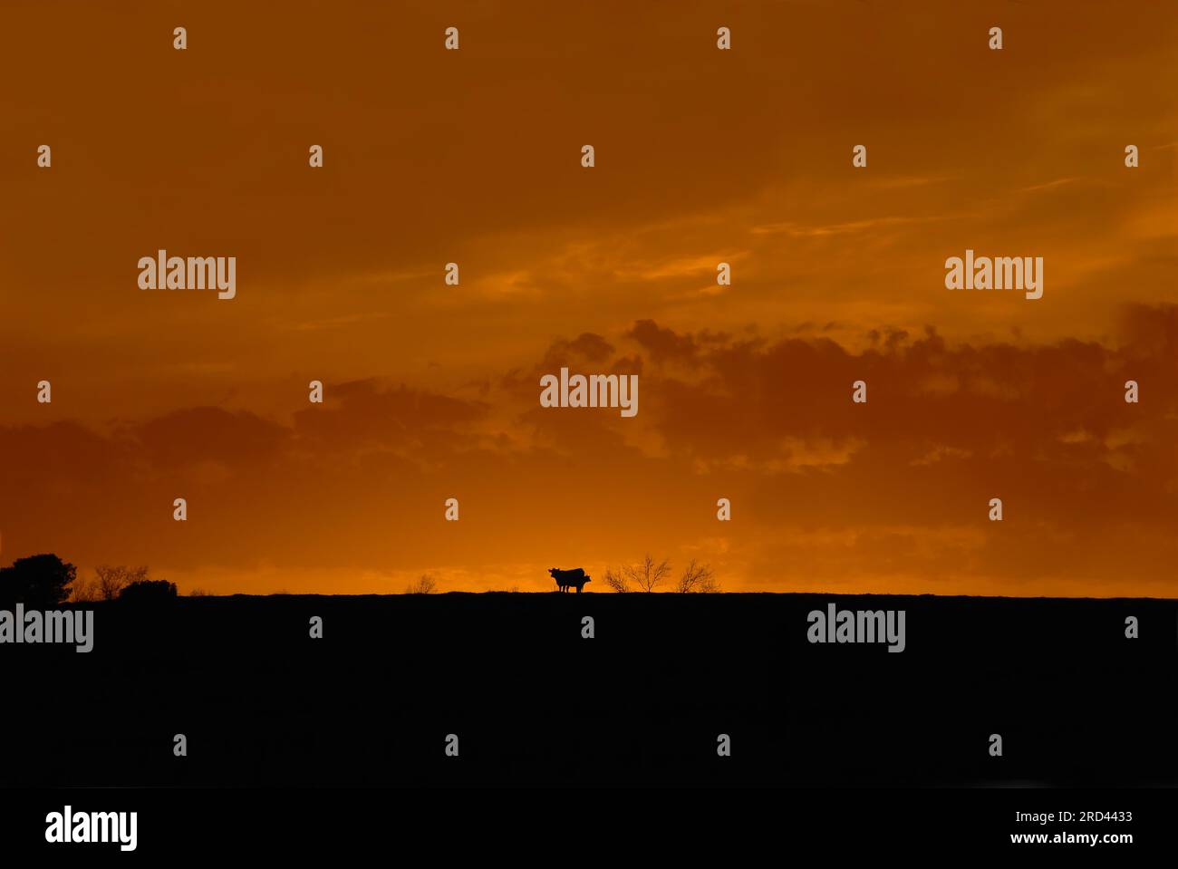 Points of view hi-res stock photography and images - Alamy