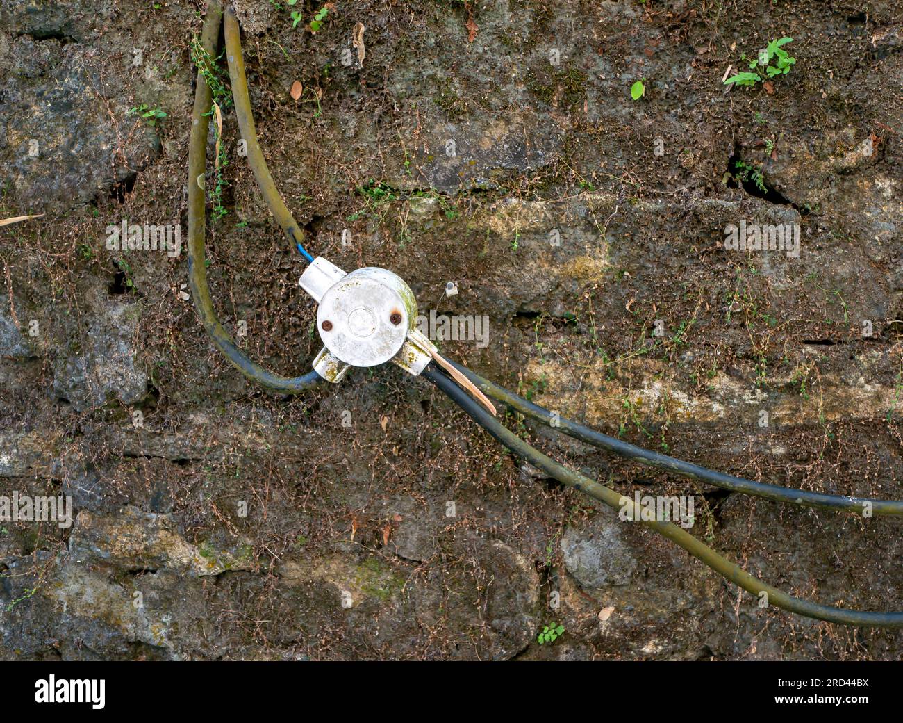 An old electrical wiring junction box and wires on mossy wall Stock ...