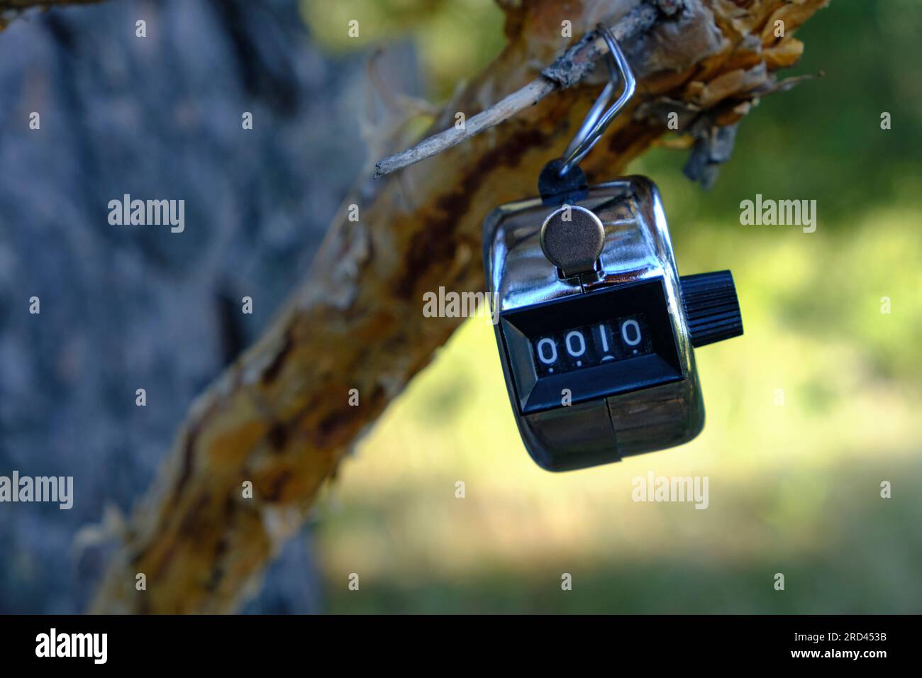 Manual mechanical counter on the branch Stock Photo - Alamy