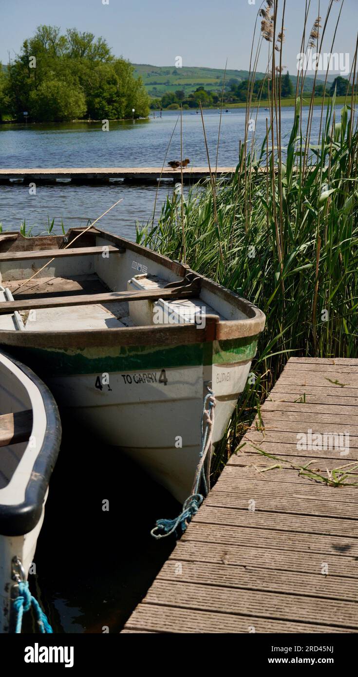 Empty rowing boats lined up waiting to be hired for trips around ...