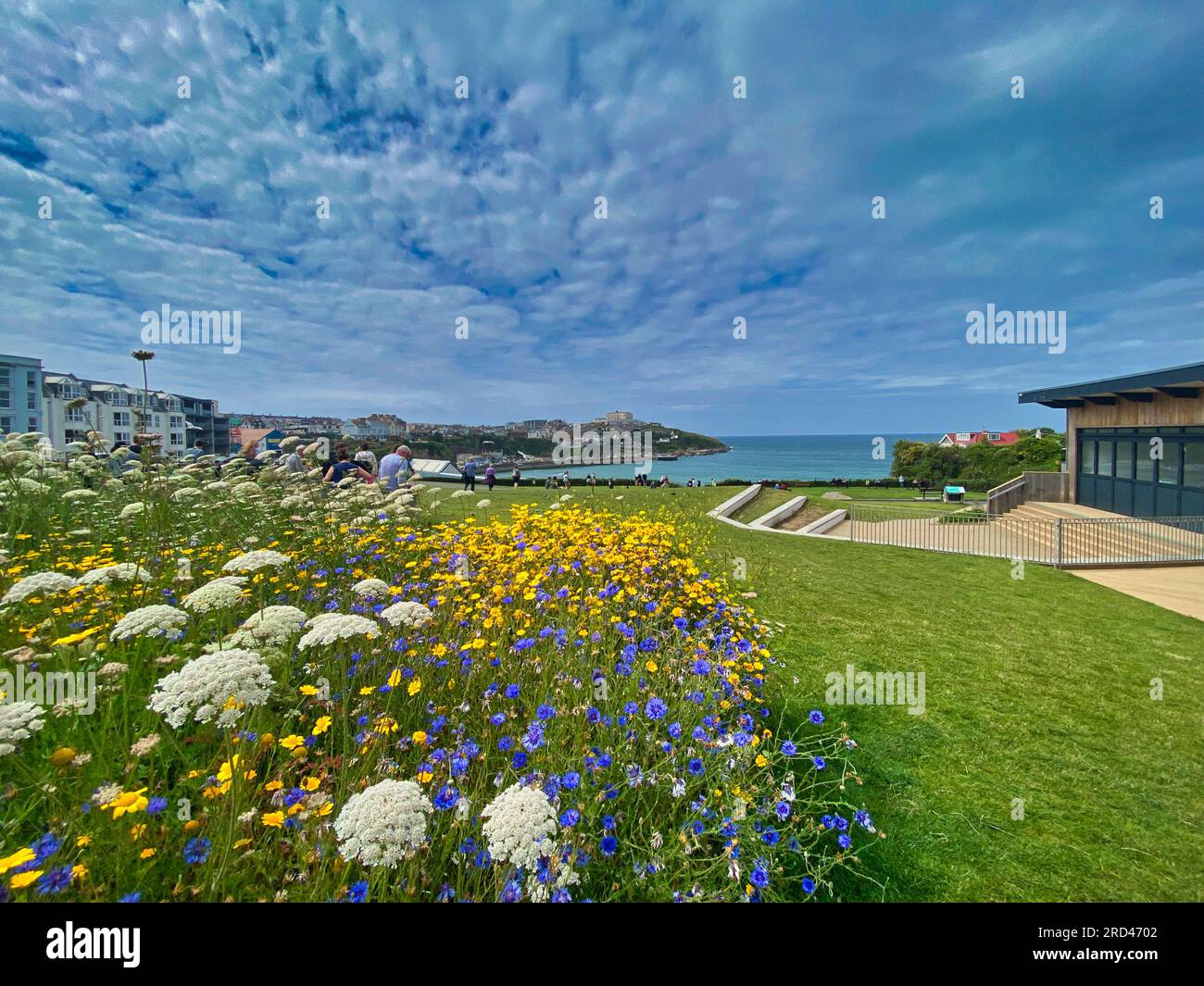 Newquay beach and coast in Cornwall Stock Photo - Alamy
