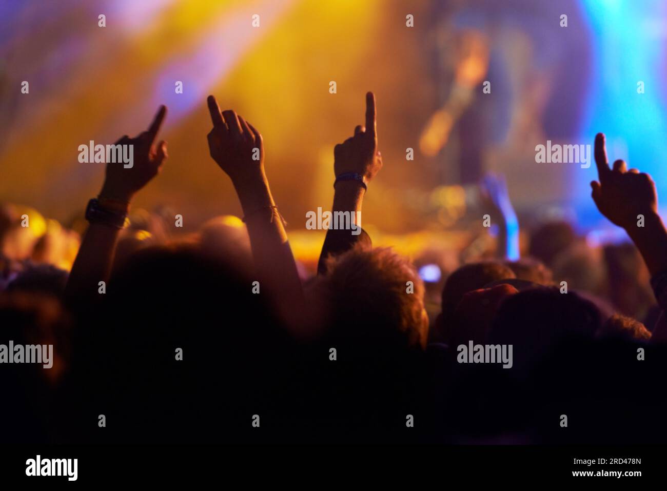 In the moment. Rear view shot of a crowd enjoying a live musical ...
