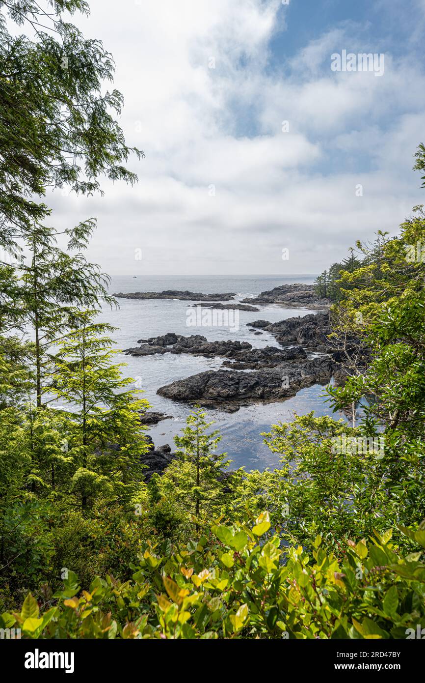 Shoreline in Front of Vancouver Island's West Coast Stock Photo - Alamy