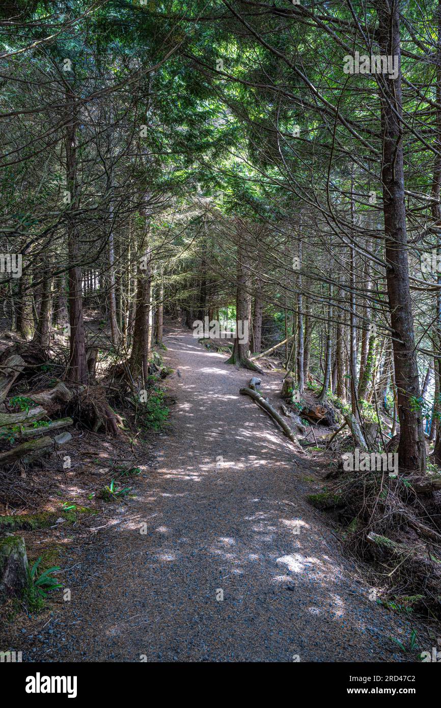 Vancouver island adventure trail hi-res stock photography and images ...