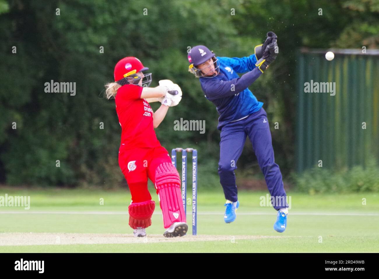 Cricket lamb hi-res stock photography and images - Alamy