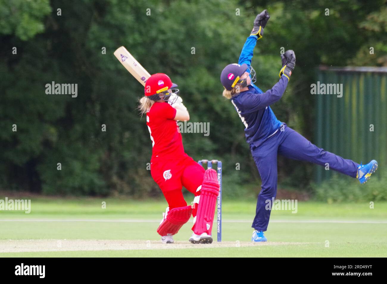 Cricket lamb hi-res stock photography and images - Alamy