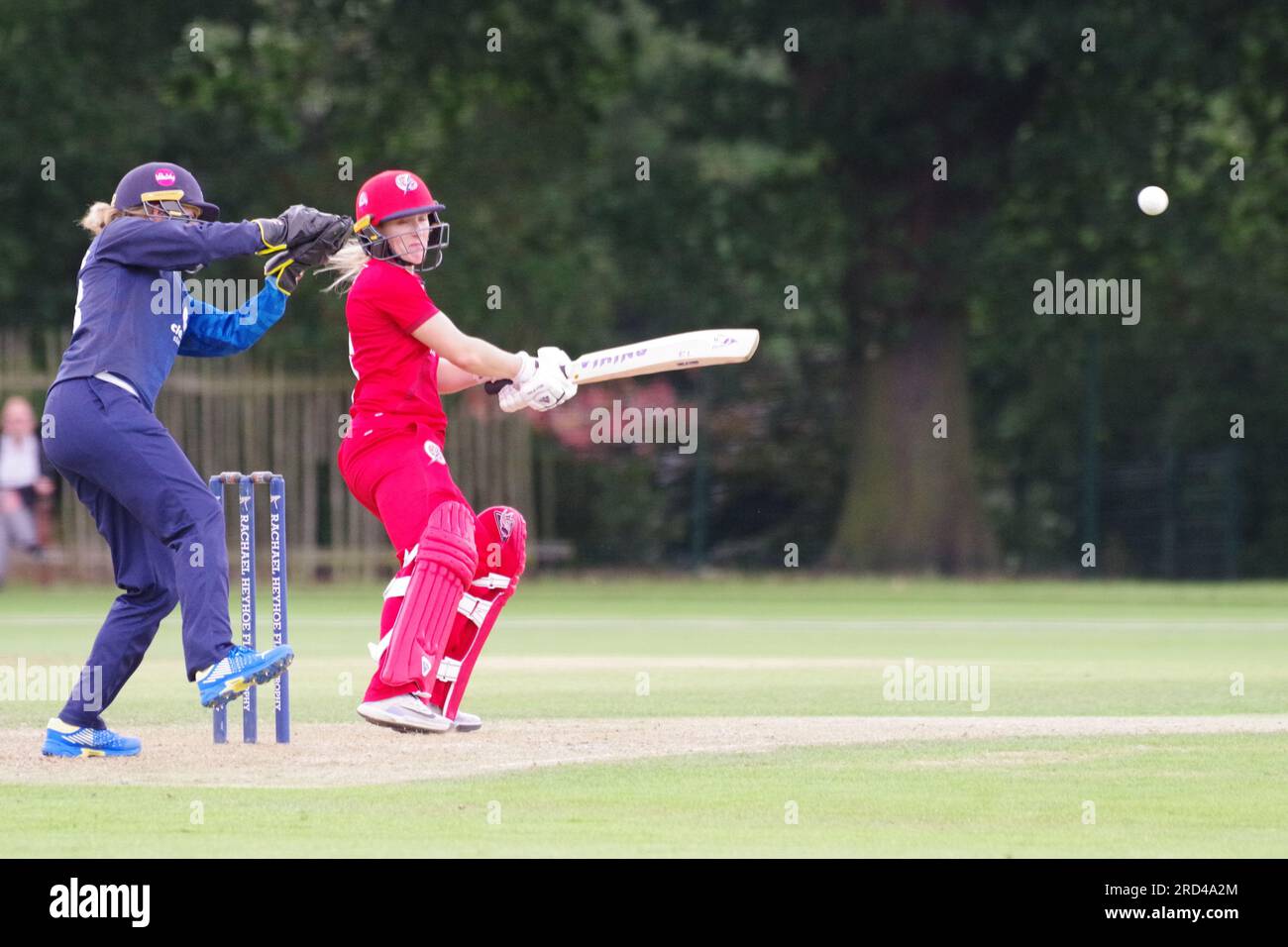 Cricket lamb hi-res stock photography and images - Alamy
