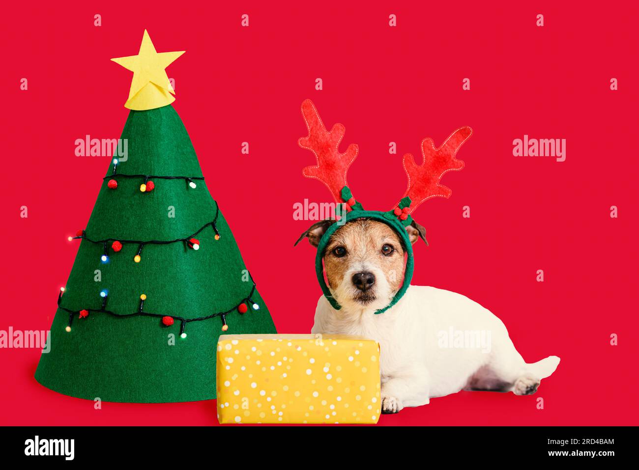 Rudolph the red nosed reindeer card hi-res stock photography and images ...