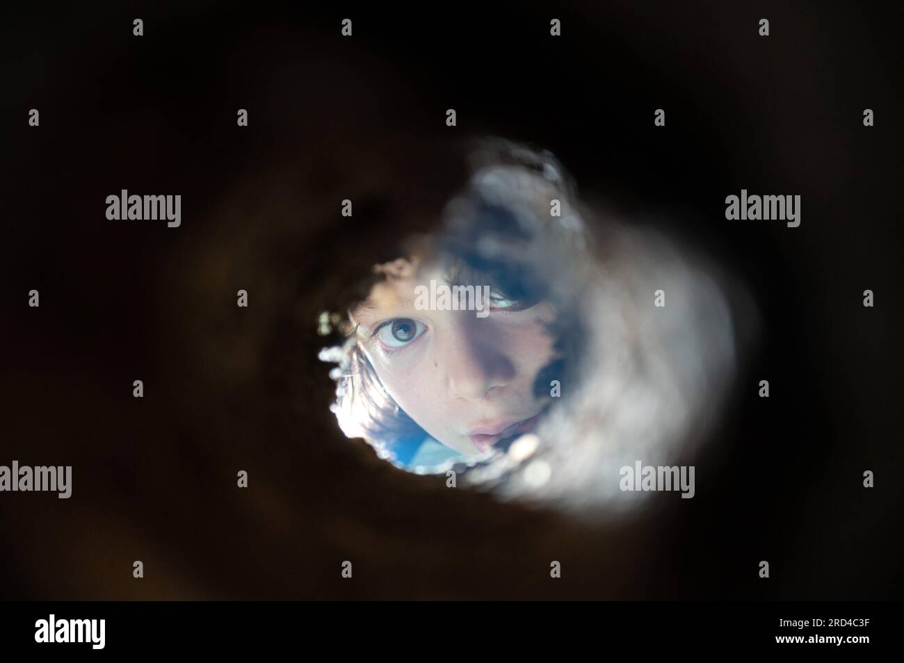 Cobweb film Woody Norman Stock Photo - Alamy