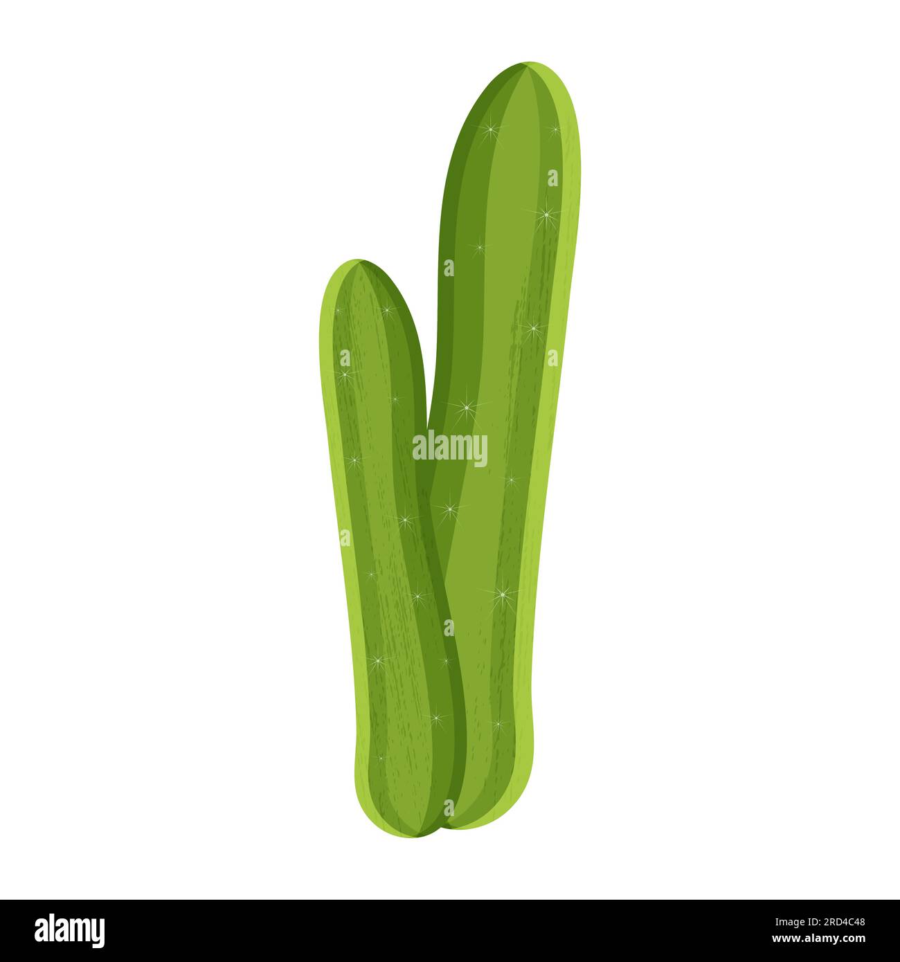 Mexican cactus vector illustration with thorns coloured. isolated on ...