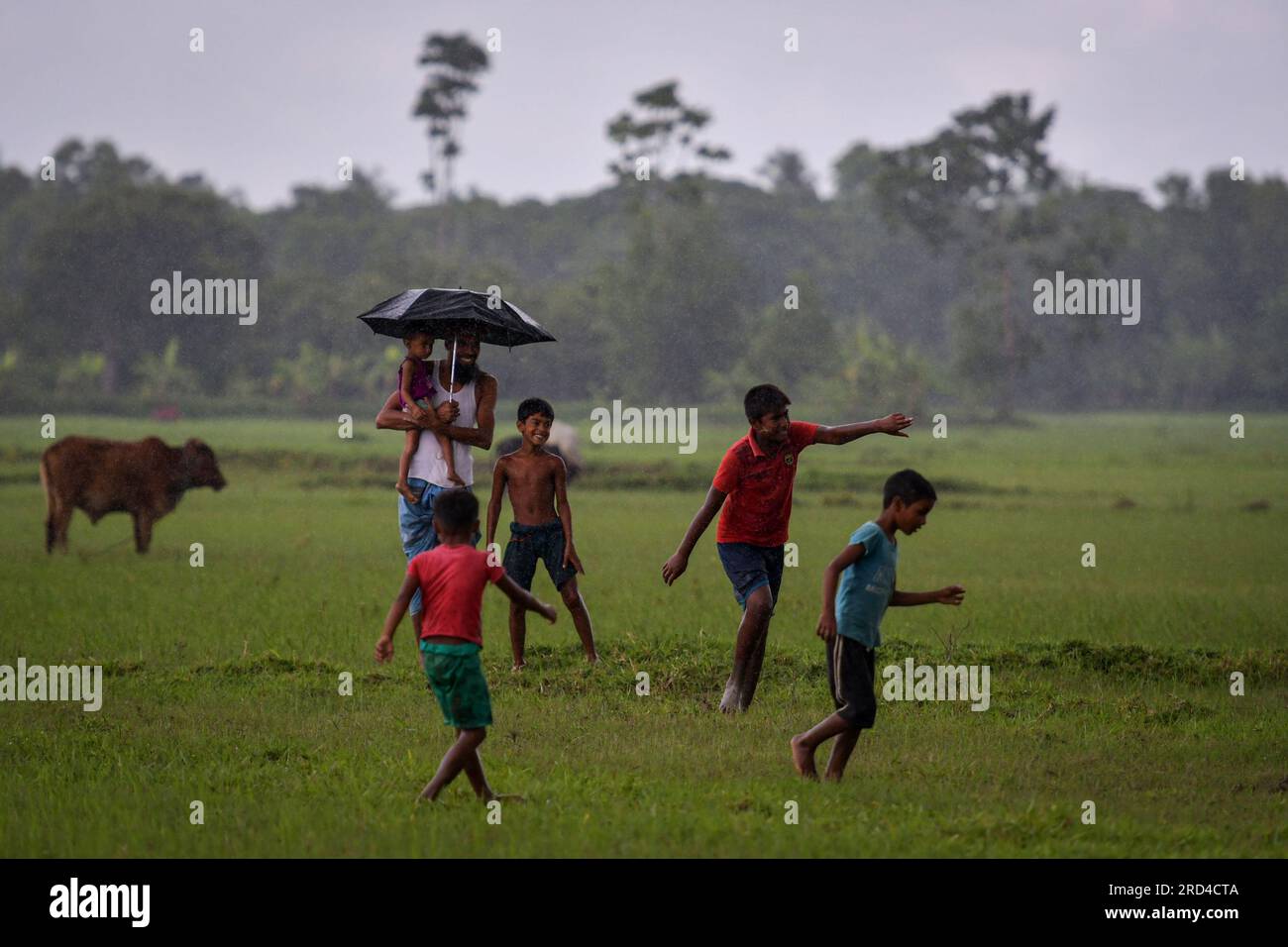 Villagers enjoy the monsoon rain at the field of Baghmari village in ...