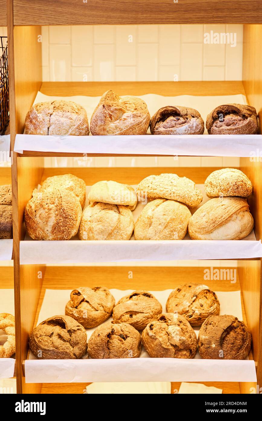 Different kinds of bread on the counter in the bakery shop. Fresh bread ...