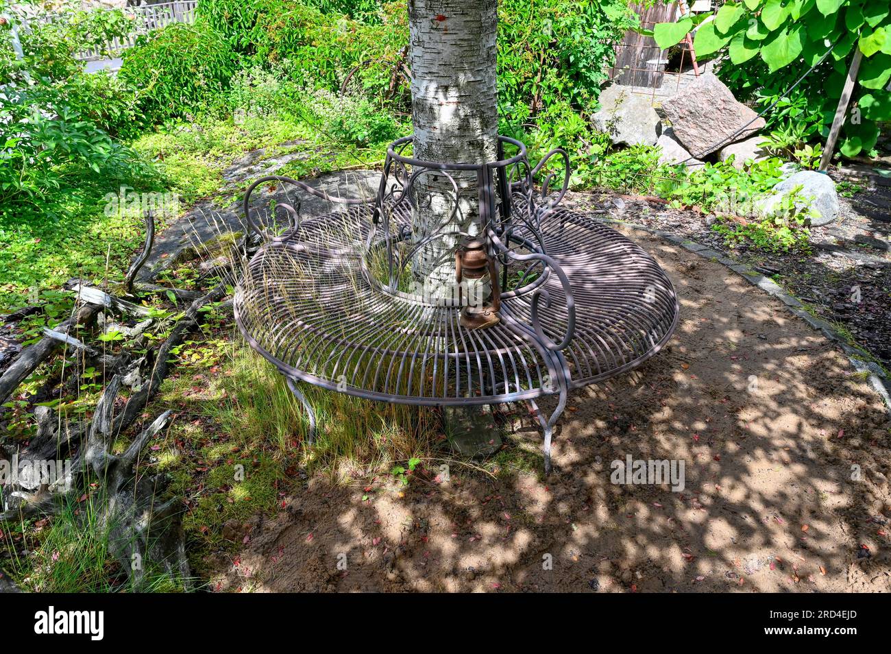 Metal bench around tree trunk in garden Stock Photo - Alamy