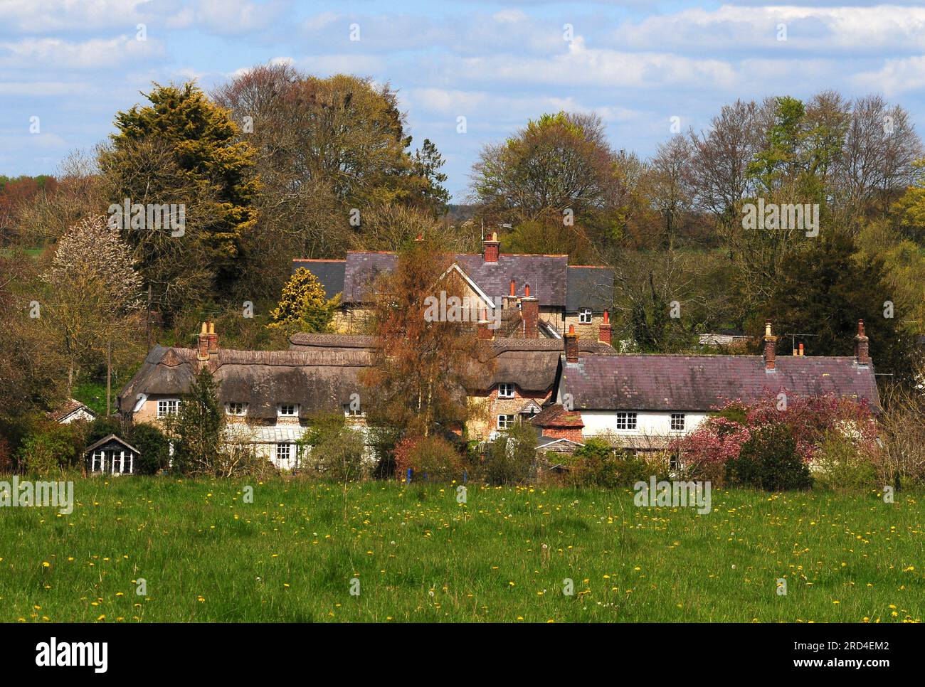 The small rural village of Chettle in north Dorset, UK Stock Photo - Alamy