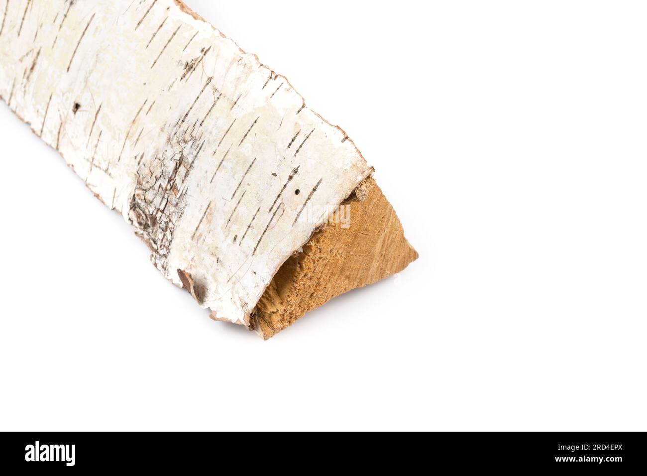 Birch firewood tree log on white background Stock Photo - Alamy
