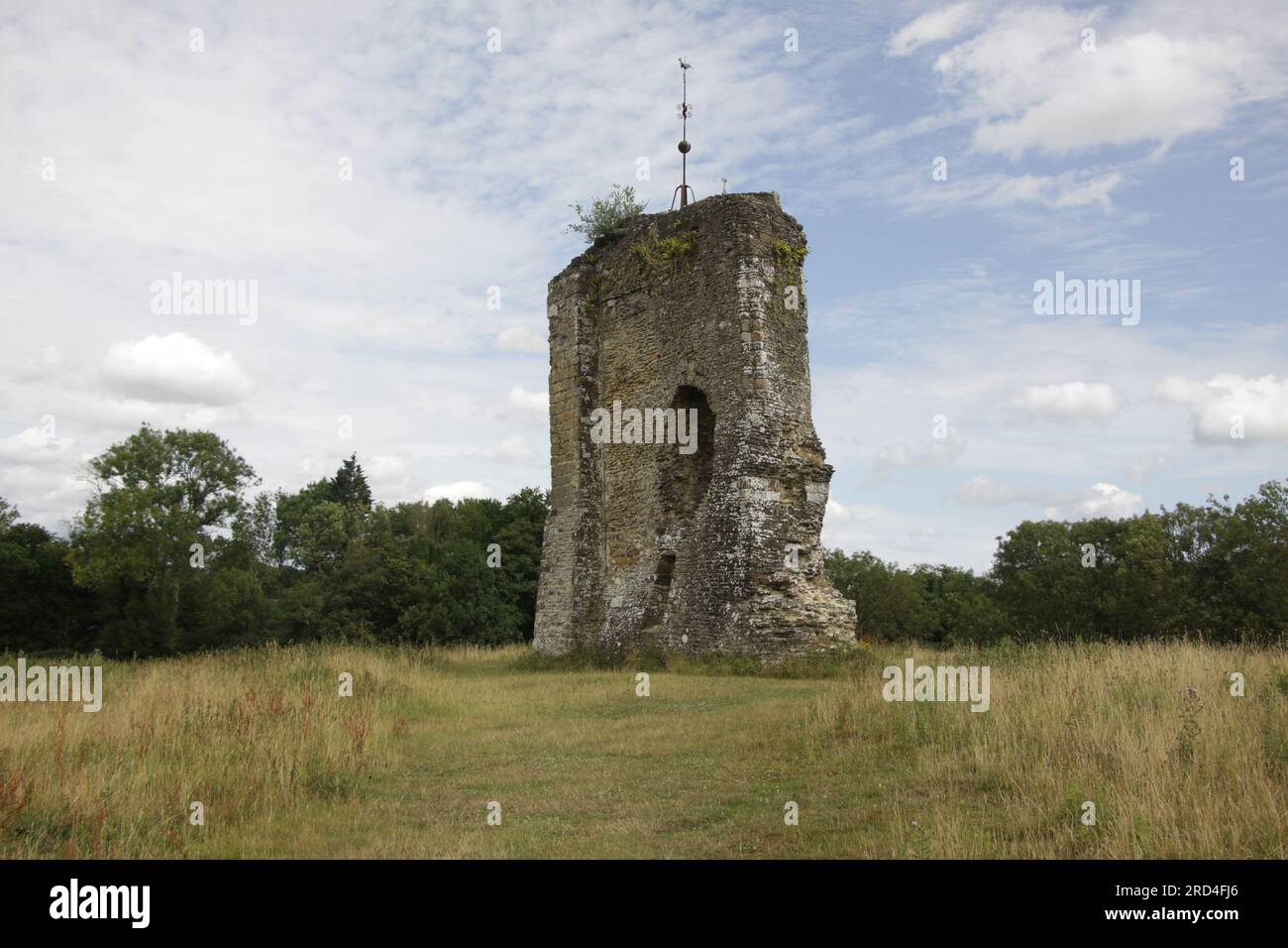 The ruin of the original Knepp Castle on the Knepp Estate West Sussex ...