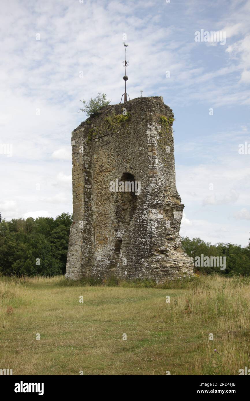 The ruin of the original Knepp Castle on the Knepp Estate West Sussex ...