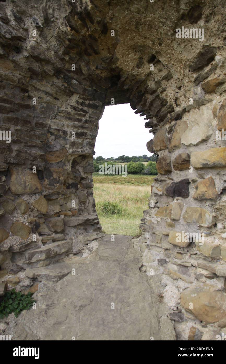 The ruin of the original Knepp Castle on the Knepp Estate West Sussex ...