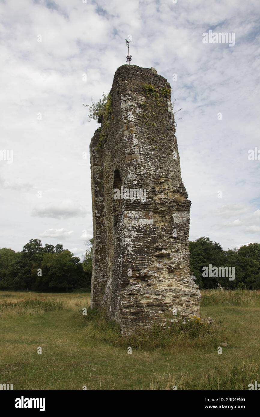 Knepp estate west sussex hi-res stock photography and images - Alamy