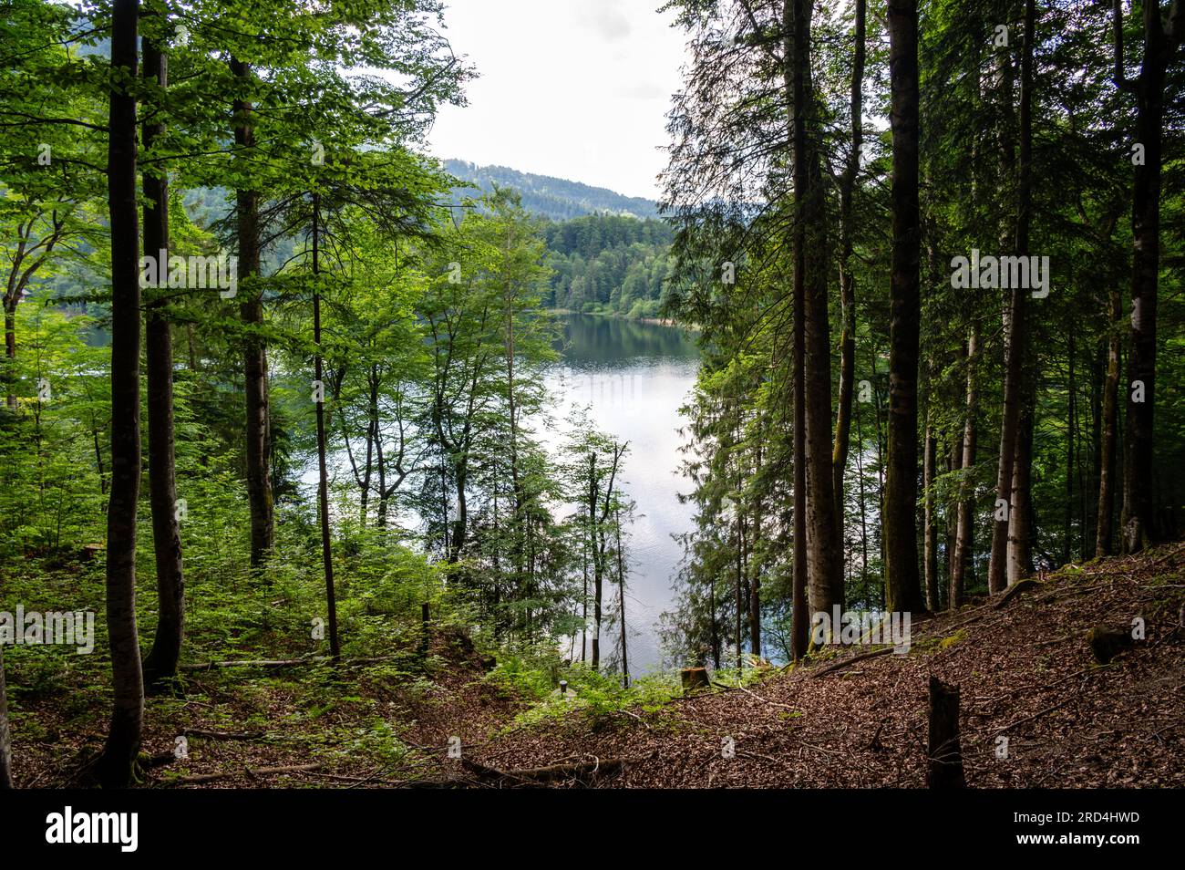 Freibergsee near Oberstdorf from above, Germany Stock Photo - Alamy