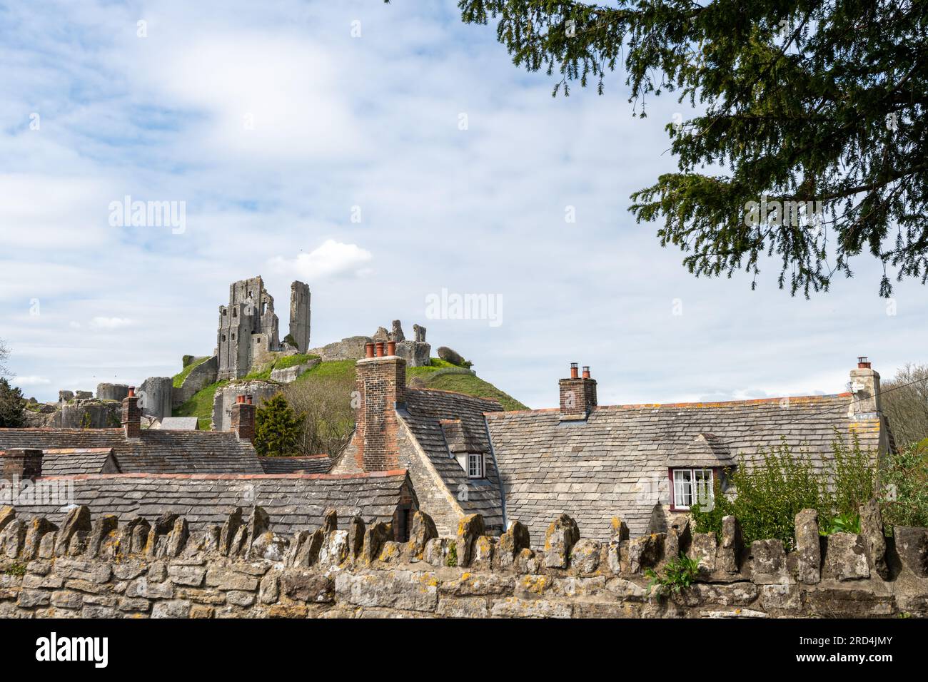 Corfe.Dorset.United Kingdom.April 17th 2023.View of the ruins of Corfe ...