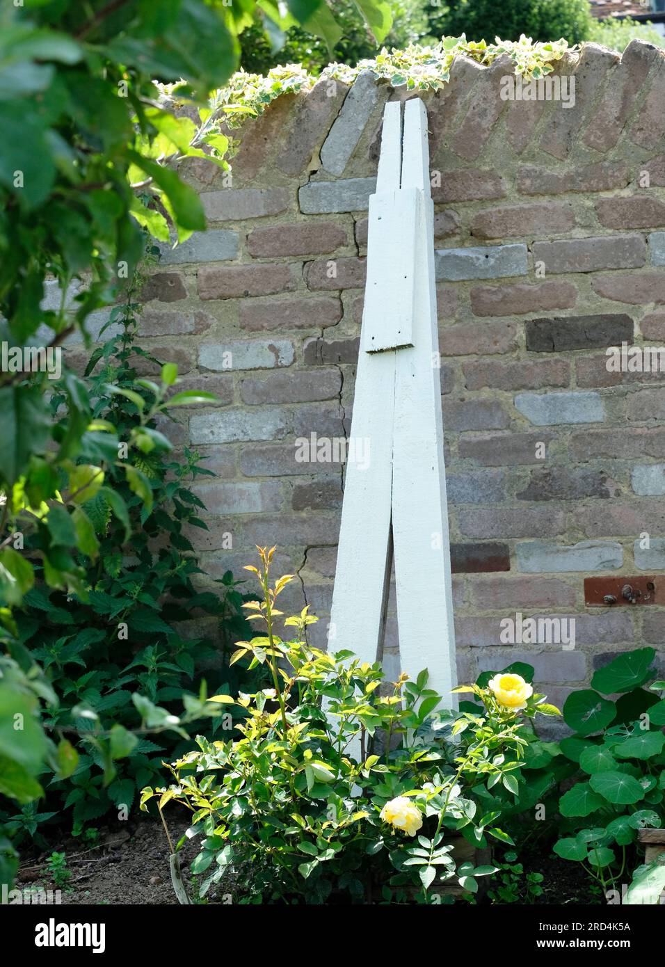 Shoestring gardening hi-res stock photography and images - Alamy