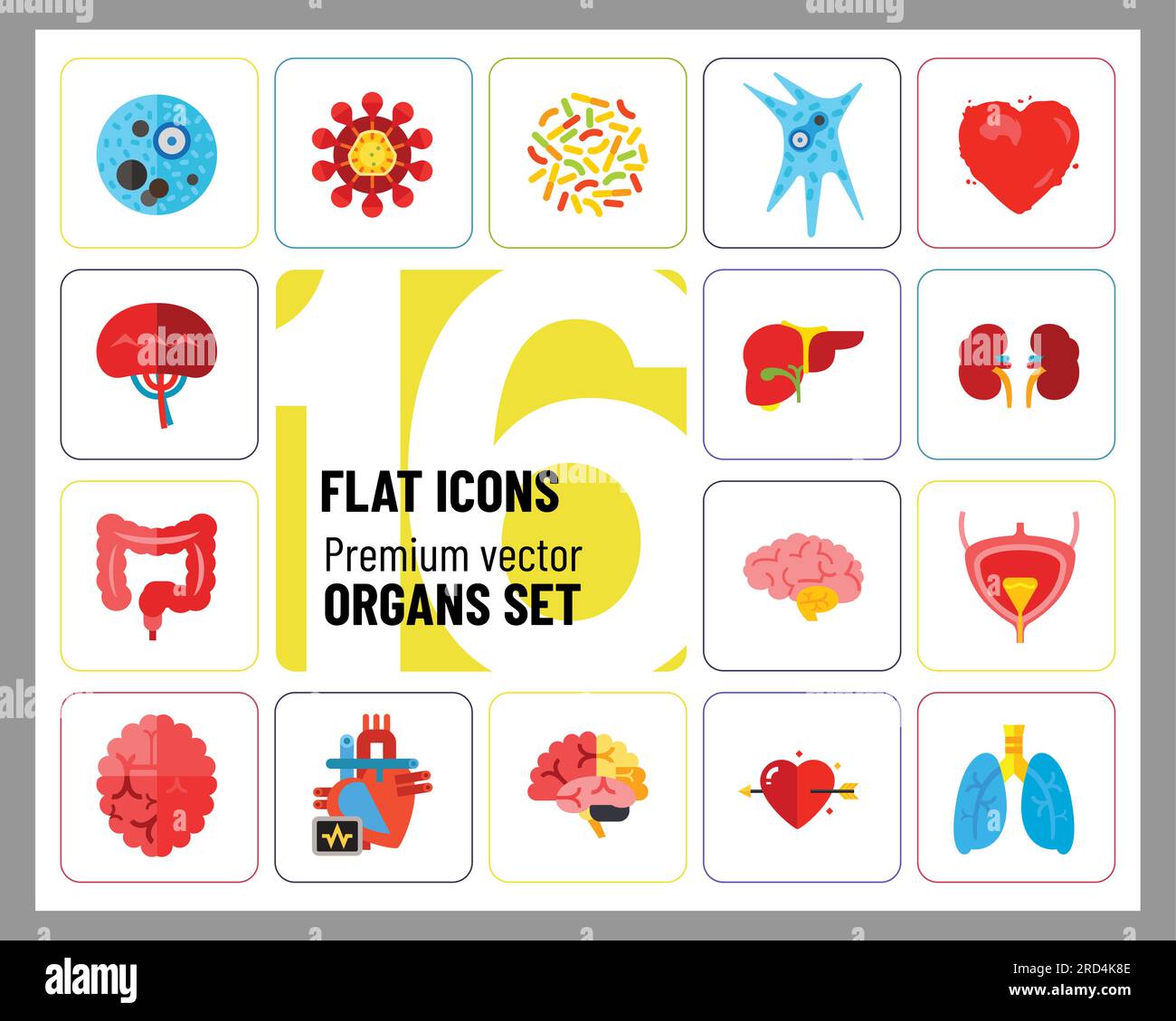 Organs Icon Set Stock Vector Image & Art - Alamy