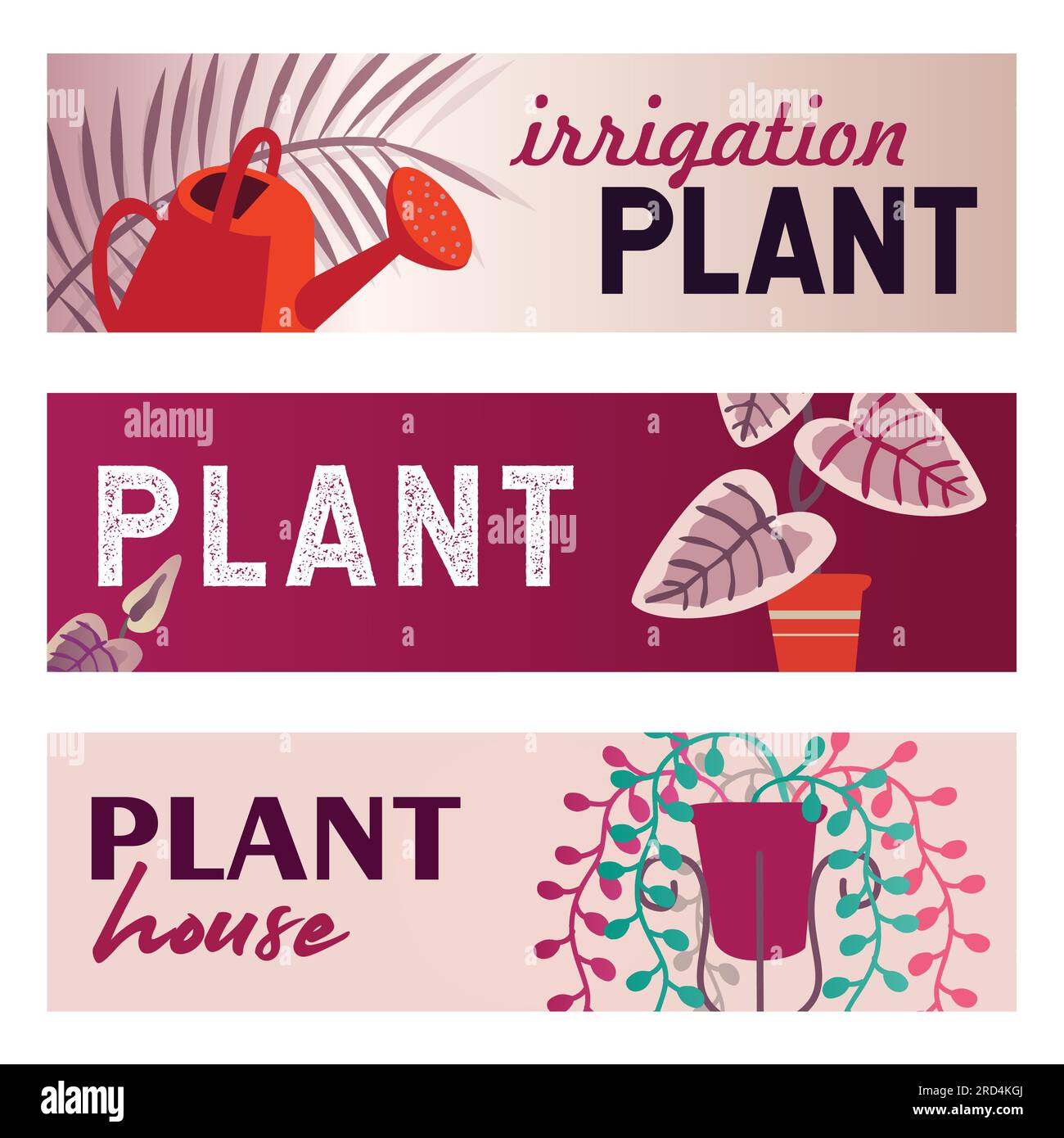 Home plants banners set Stock Vector Image & Art - Alamy