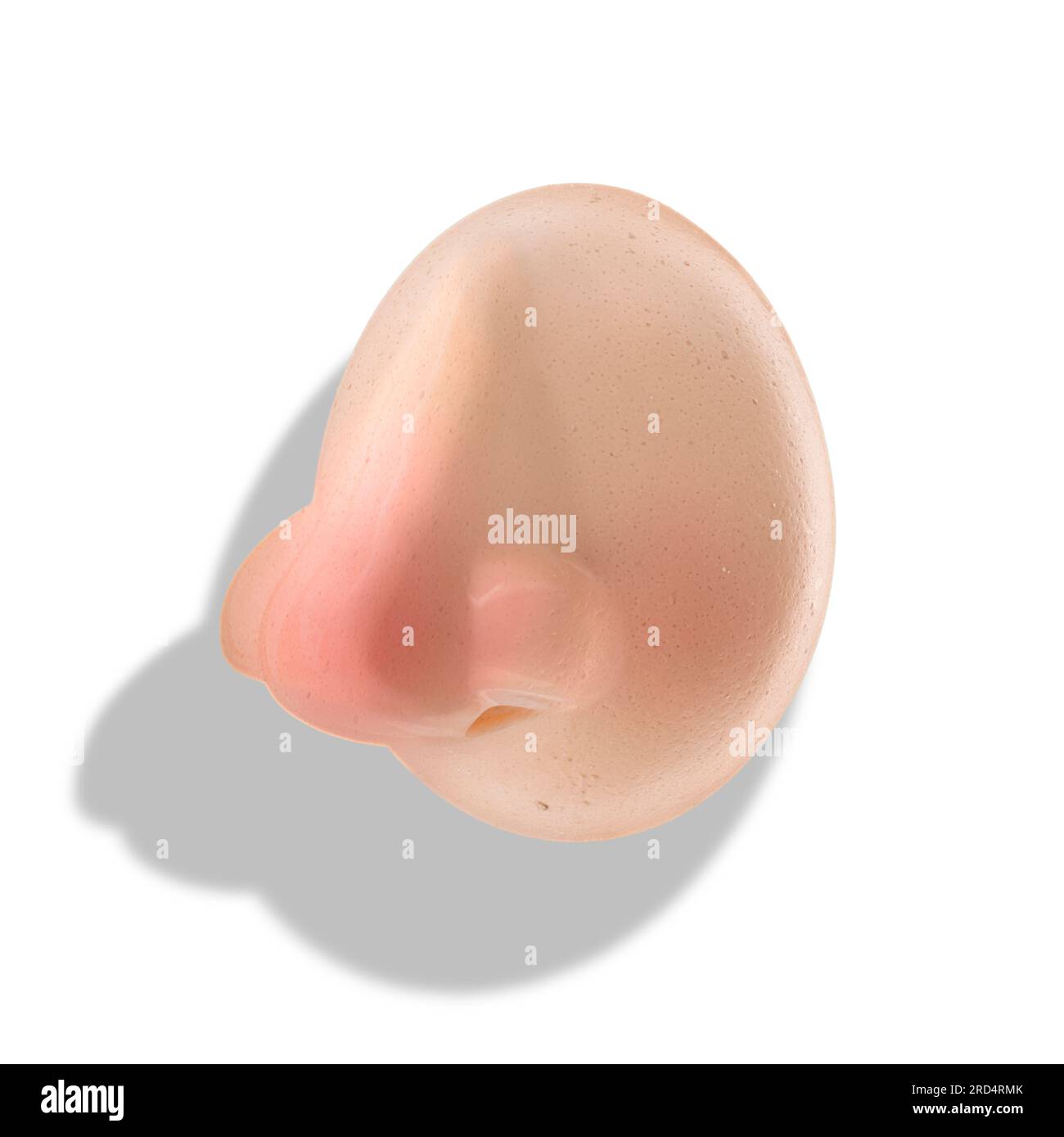 A red nose on a chicken egg. Bird flu symbol Stock Photo - Alamy