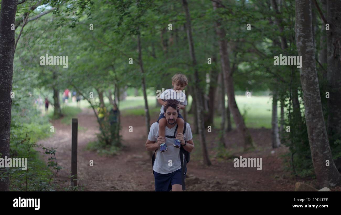 Parent and kid hiking together in the woods child on father shoulders ...