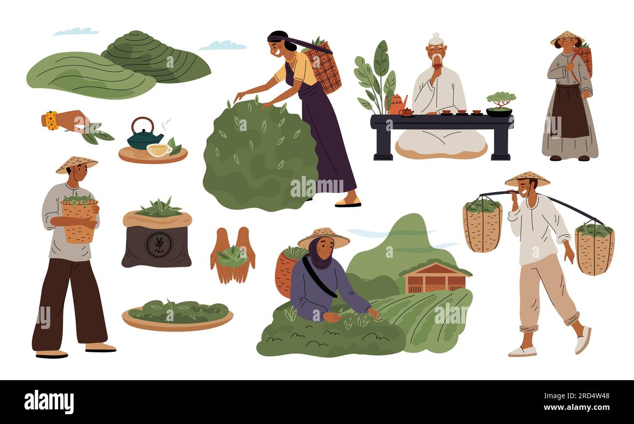 Plantation Stock Vector Images - Alamy