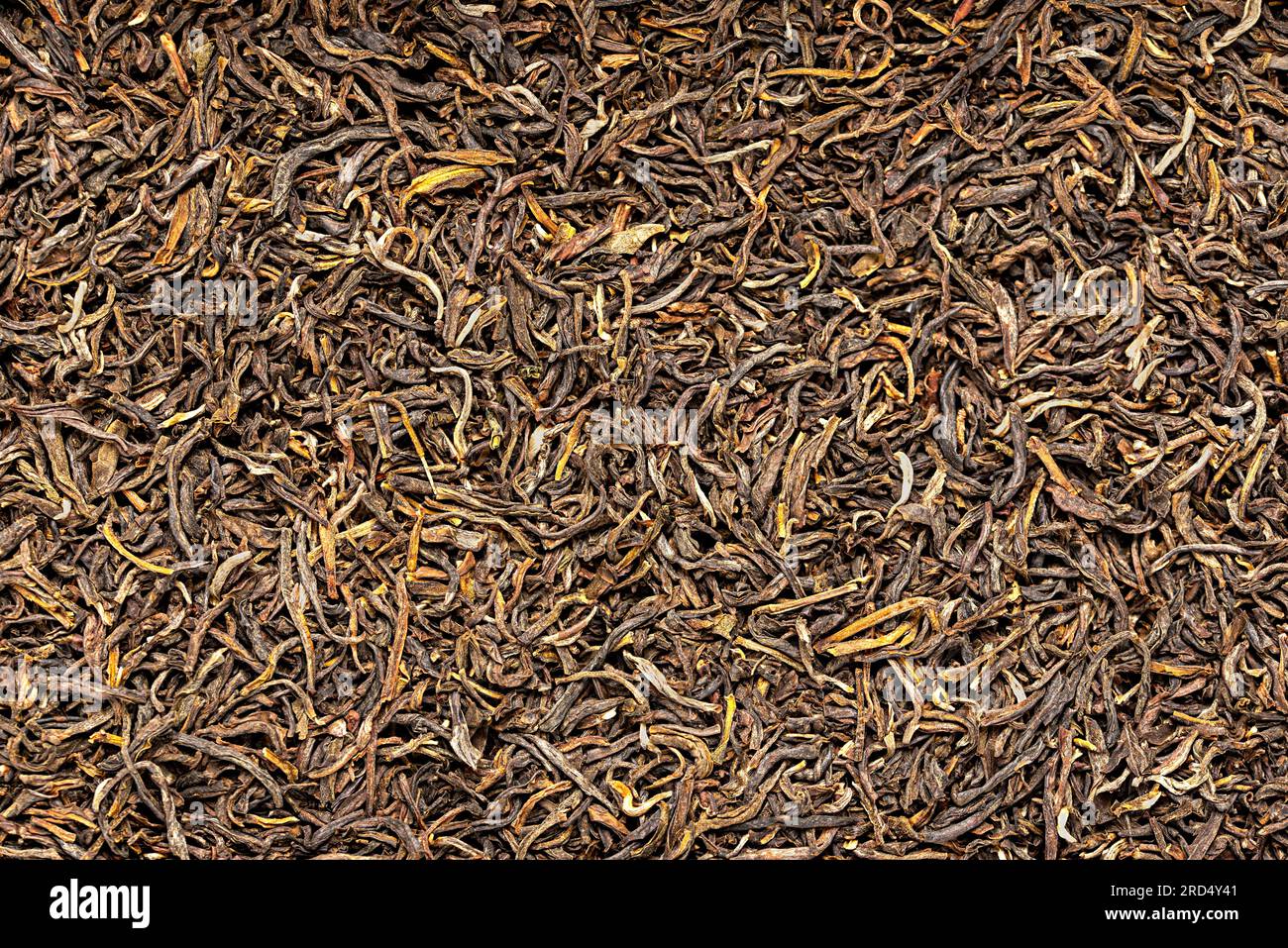 Macro blank photography of green tea, dry loose leaf, herbal, raw ...