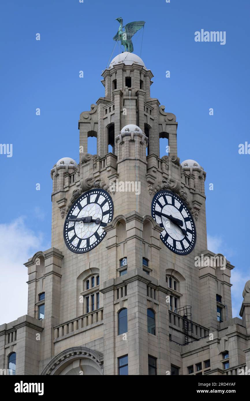Royal Liver Building Tower, Liverpool, England, United Kingdom Stock ...