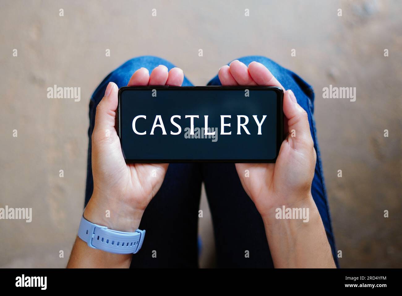 In this photo illustration, the Castlery logo seen displayed on a ...