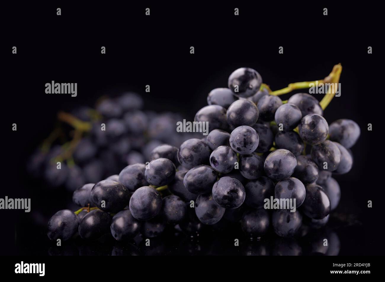 Bunch of ripe dark grape isolated on black background Stock Photo - Alamy