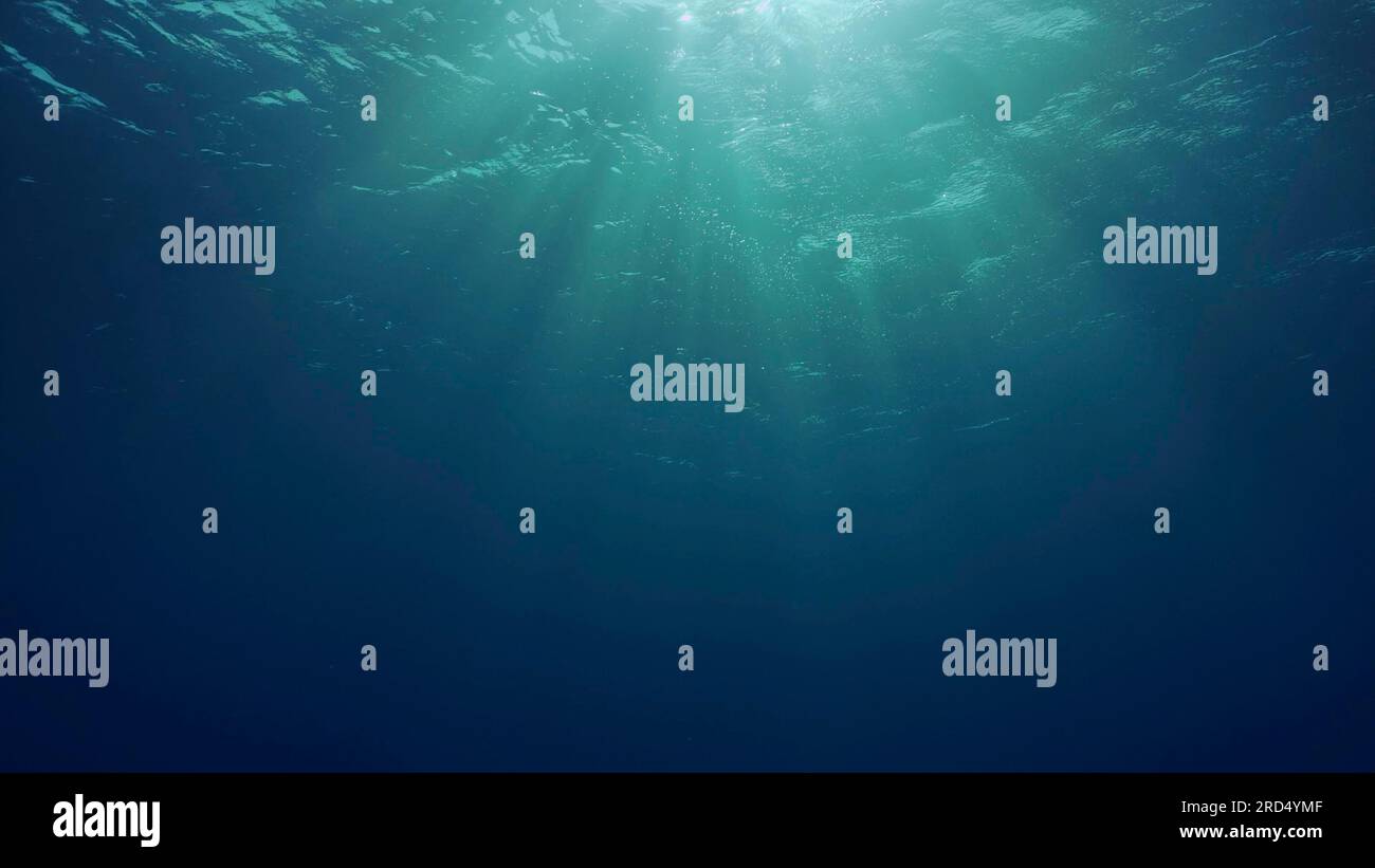 View of sun light from blue abyss, slow motion. Light filters down ...