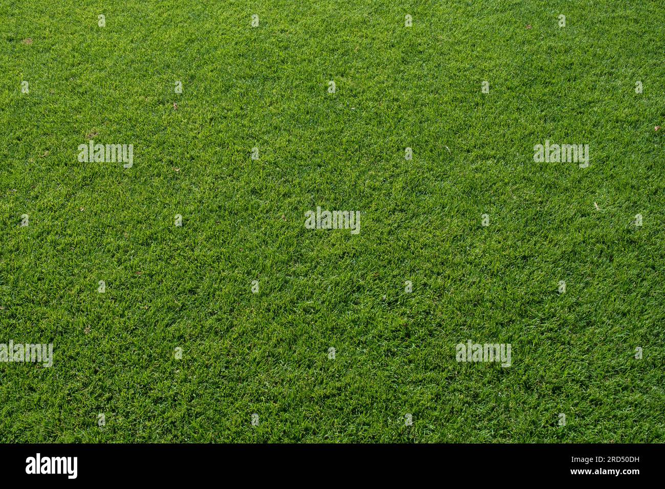 Rasenpflege hi-res stock photography and images - Alamy