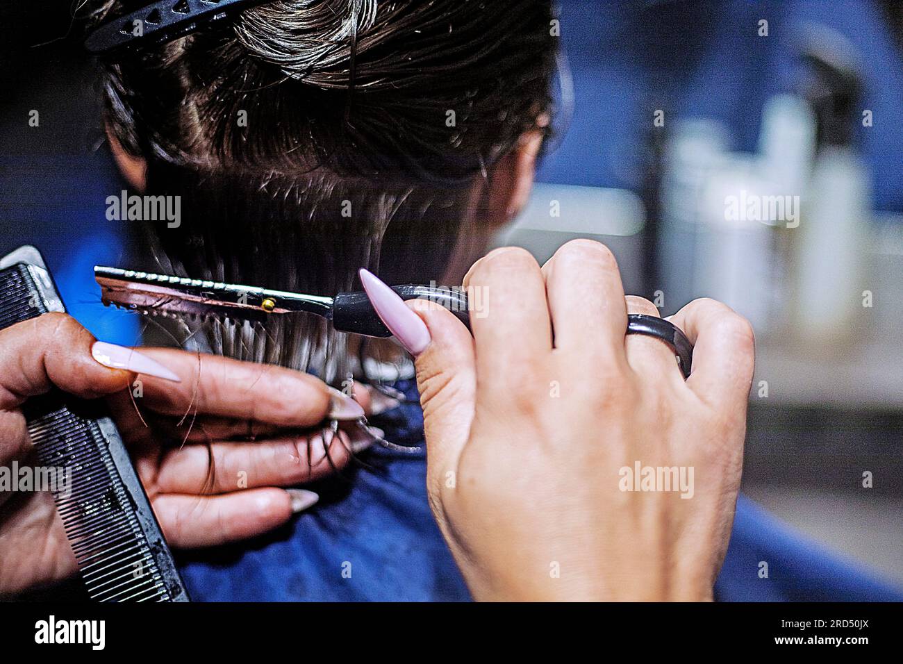 hairdresser cuts the back of the head with scissors under the comb ...