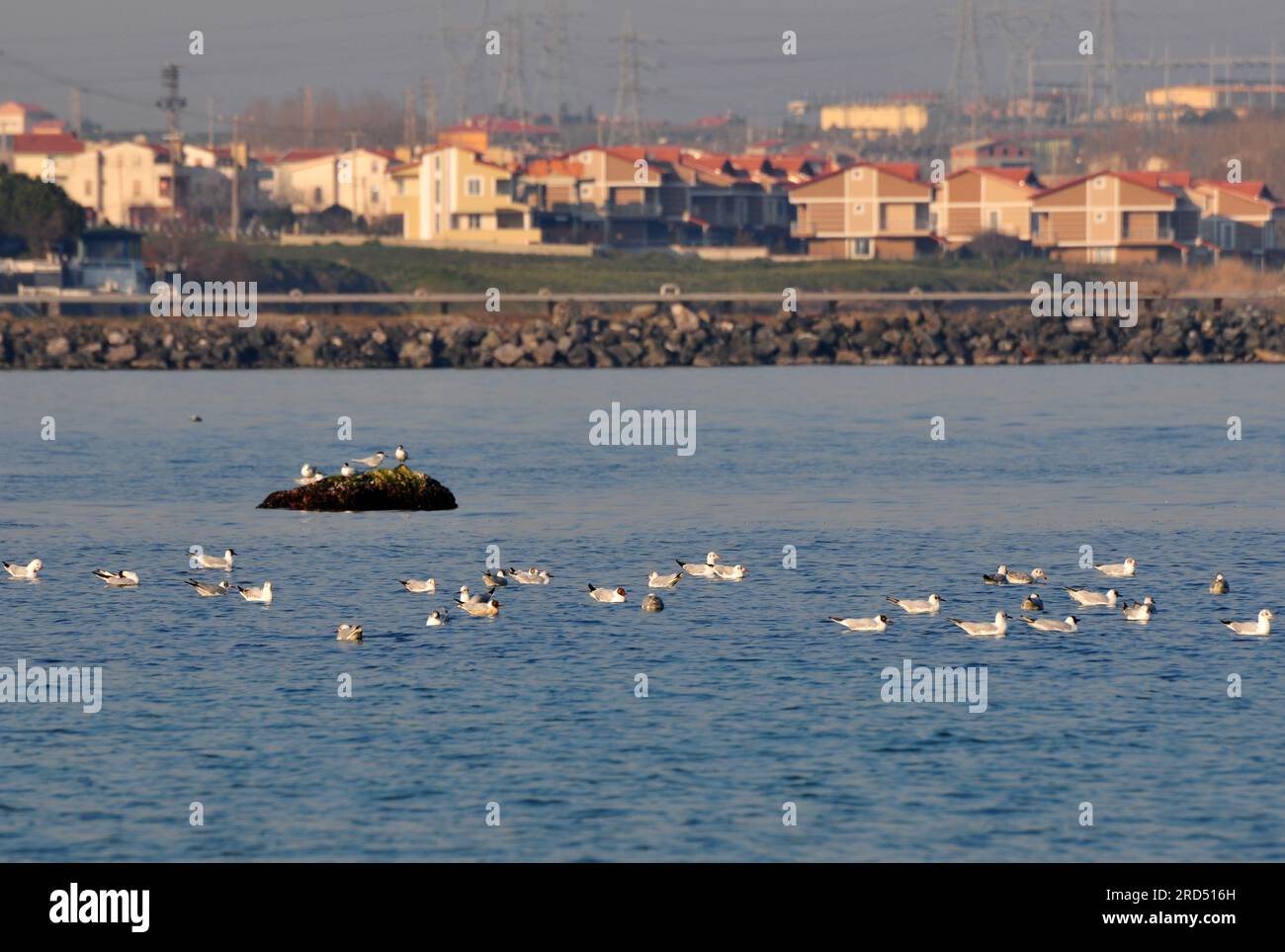 Deniz manzaralari hi-res stock photography and images - Alamy