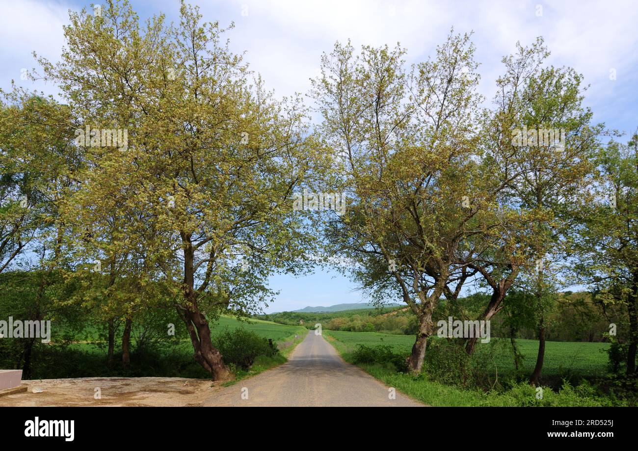 Isiklar Mountain is in Tekirdag, Turkey Stock Photo - Alamy