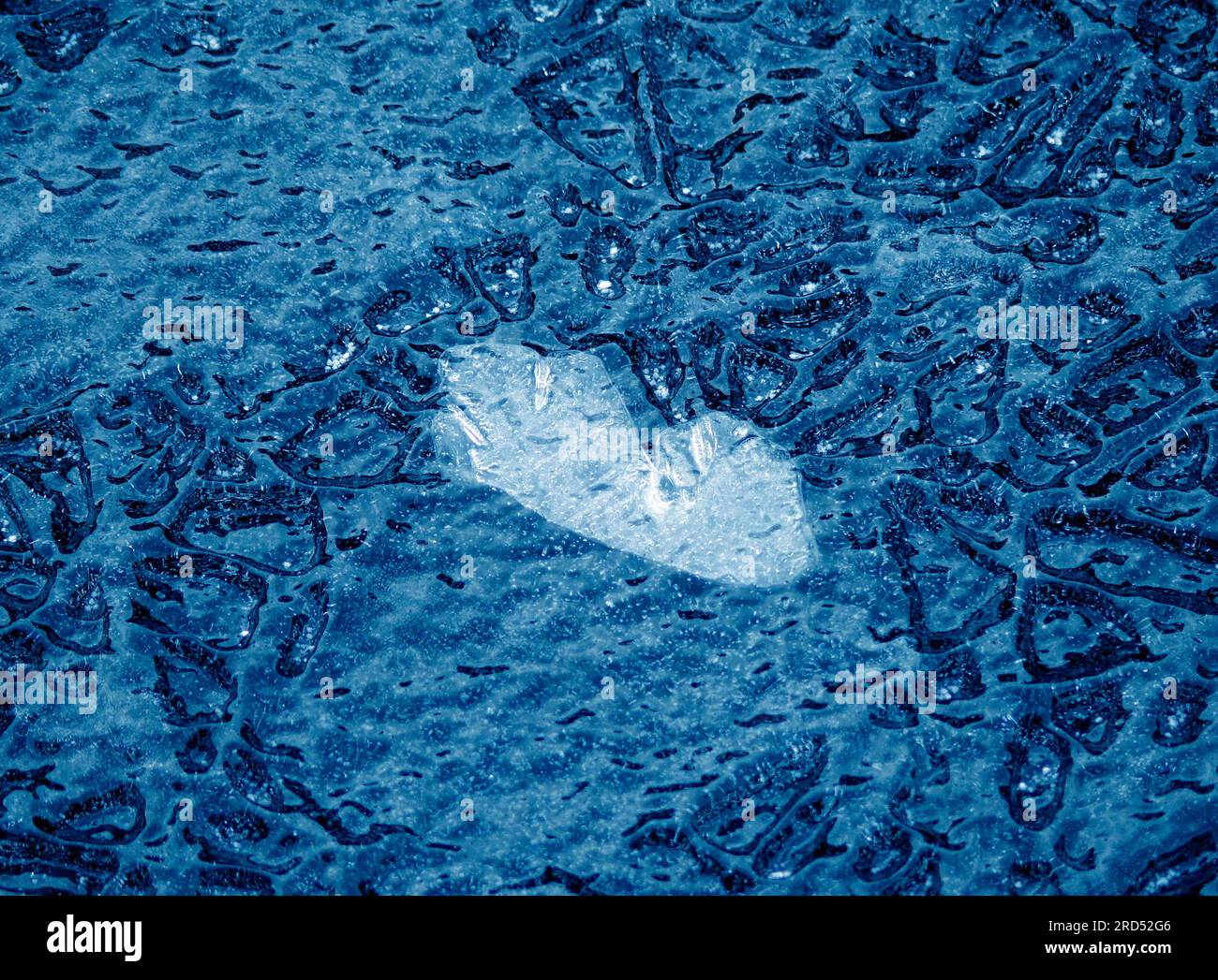 Ice crystals in the garden pond, ice patterns, ice formations, ice ...