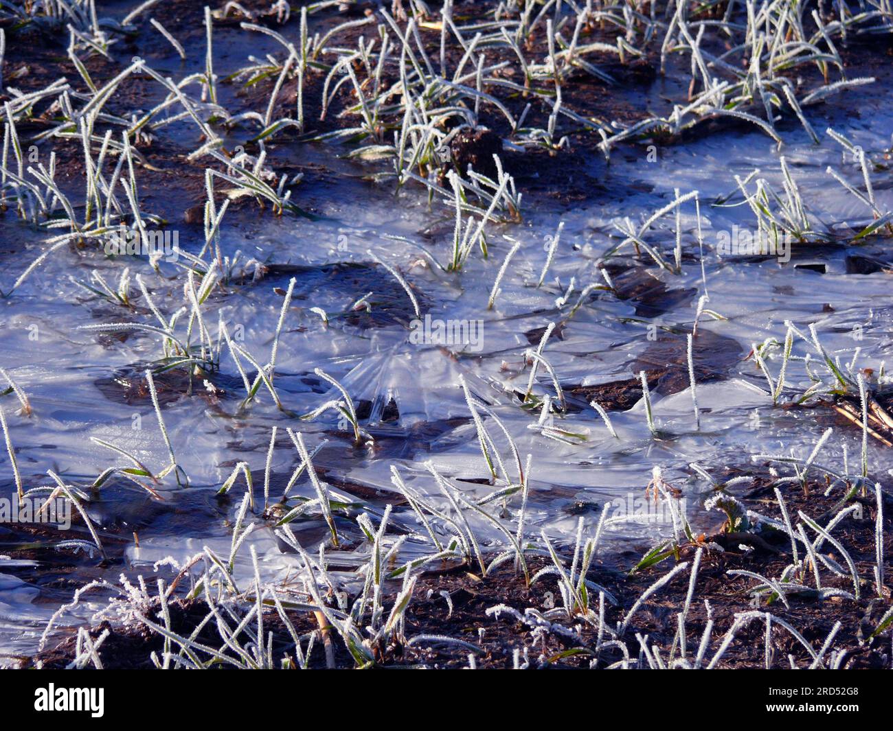 Puddle view hi-res stock photography and images - Alamy