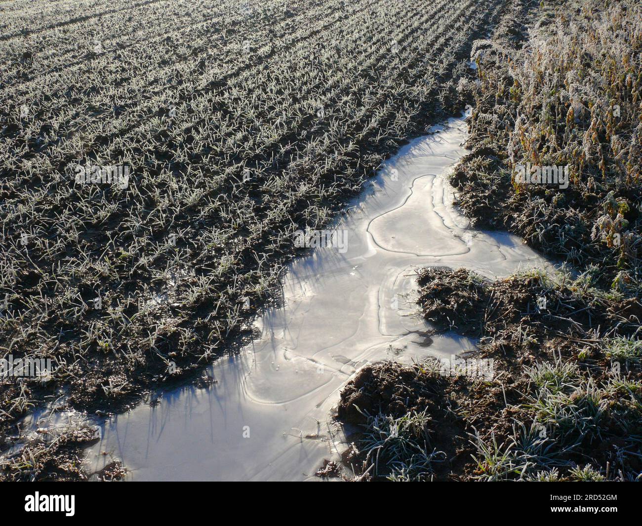 Ice on a field, frozen puddle, ice flowers, field in winter, hoarfrost ...