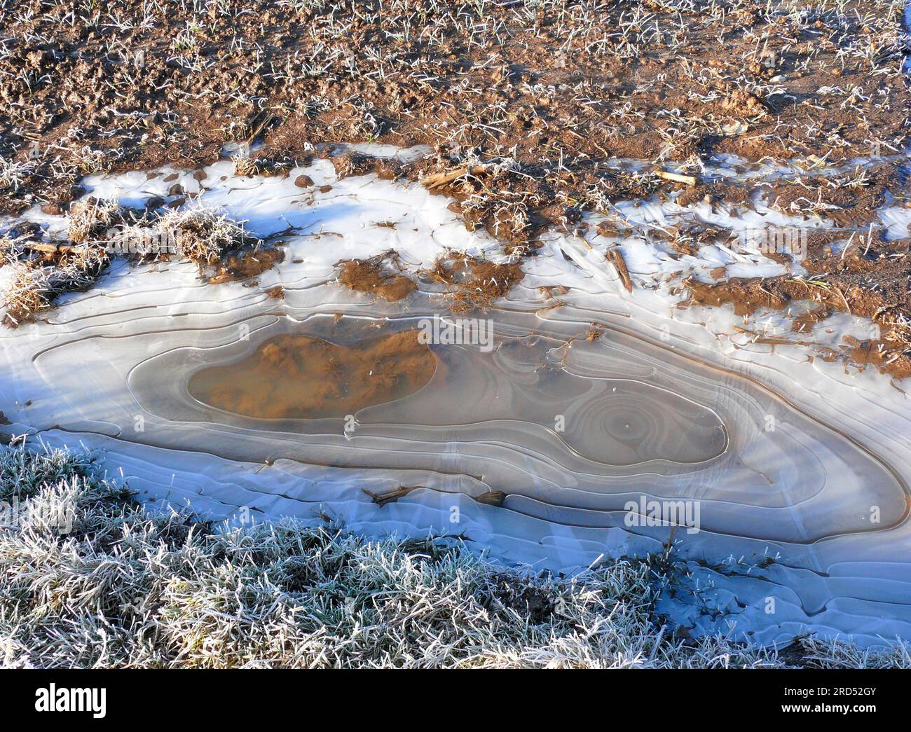 Ice on a field, frozen puddle, ice flowers, field in winter, hoarfrost ...