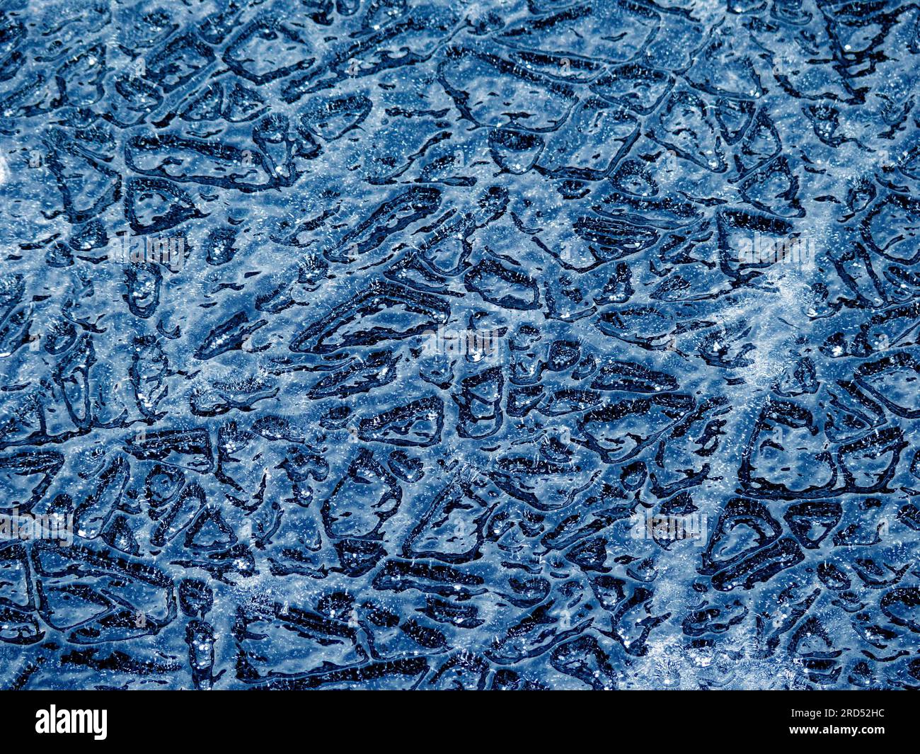 Ice crystals in the garden pond, ice patterns, ice formations, ice ...