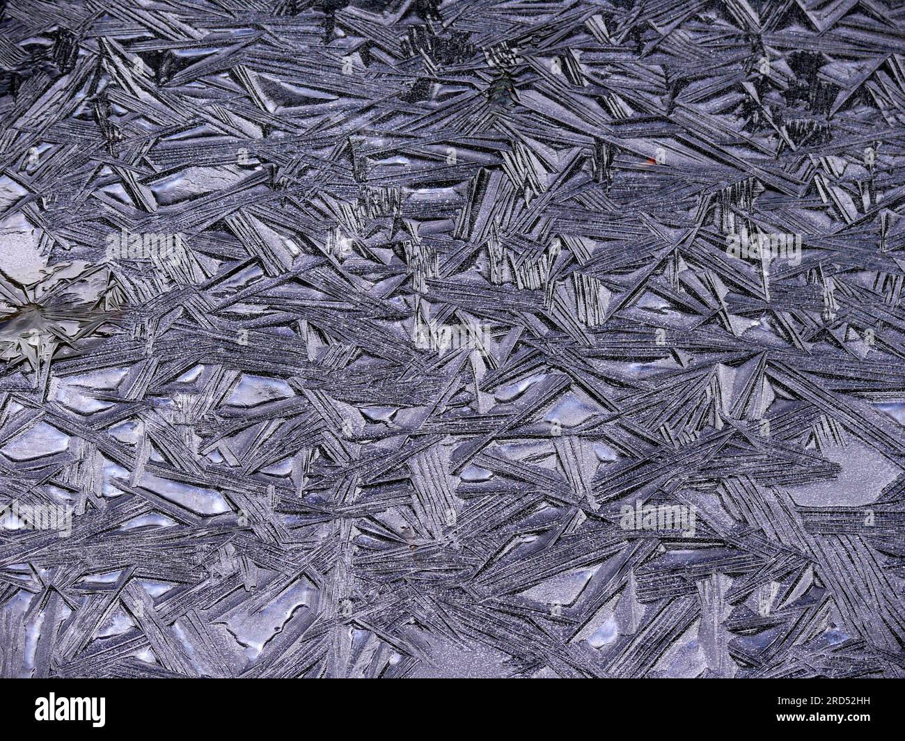 Ice crystals in the garden pond, ice patterns, ice formations, ice ...