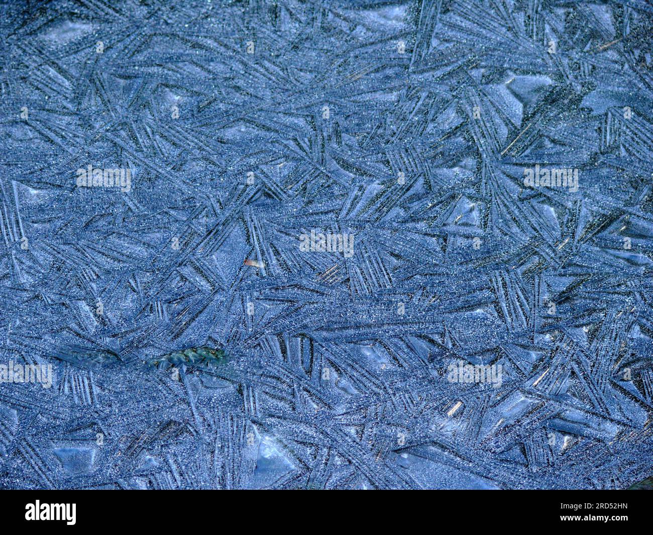 Ice crystals in the garden pond, ice patterns, ice formations, ice ...