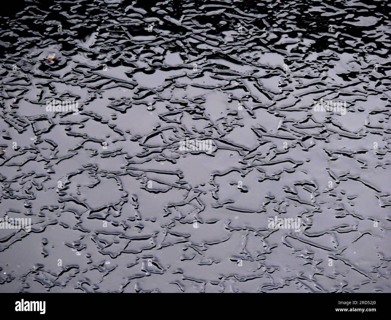 Frost pond garden hi-res stock photography and images - Alamy
